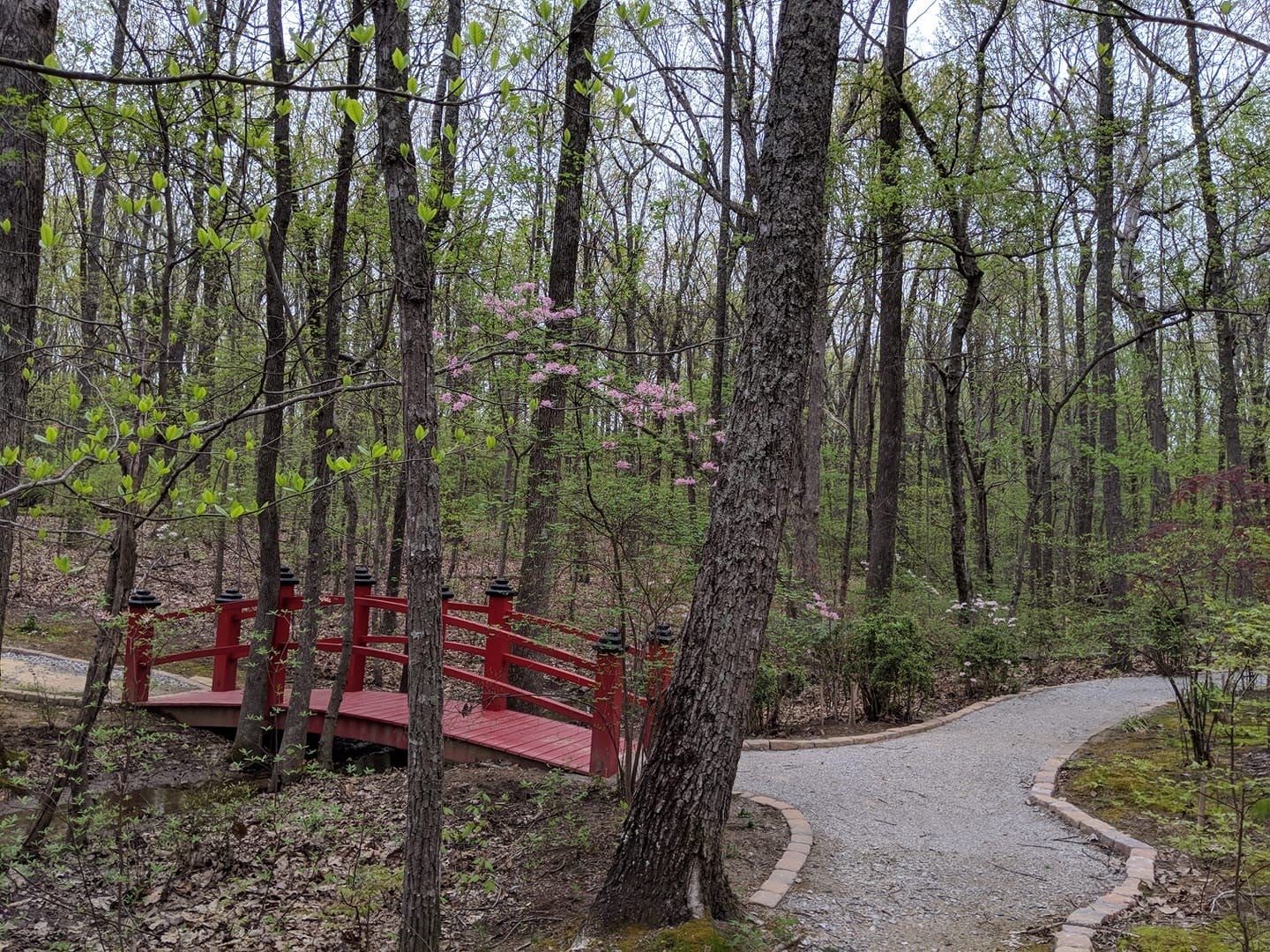 North Alabama Japanese Garden | Alapark