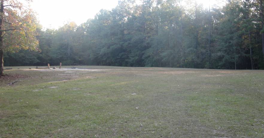 Group Camp Area | Alapark