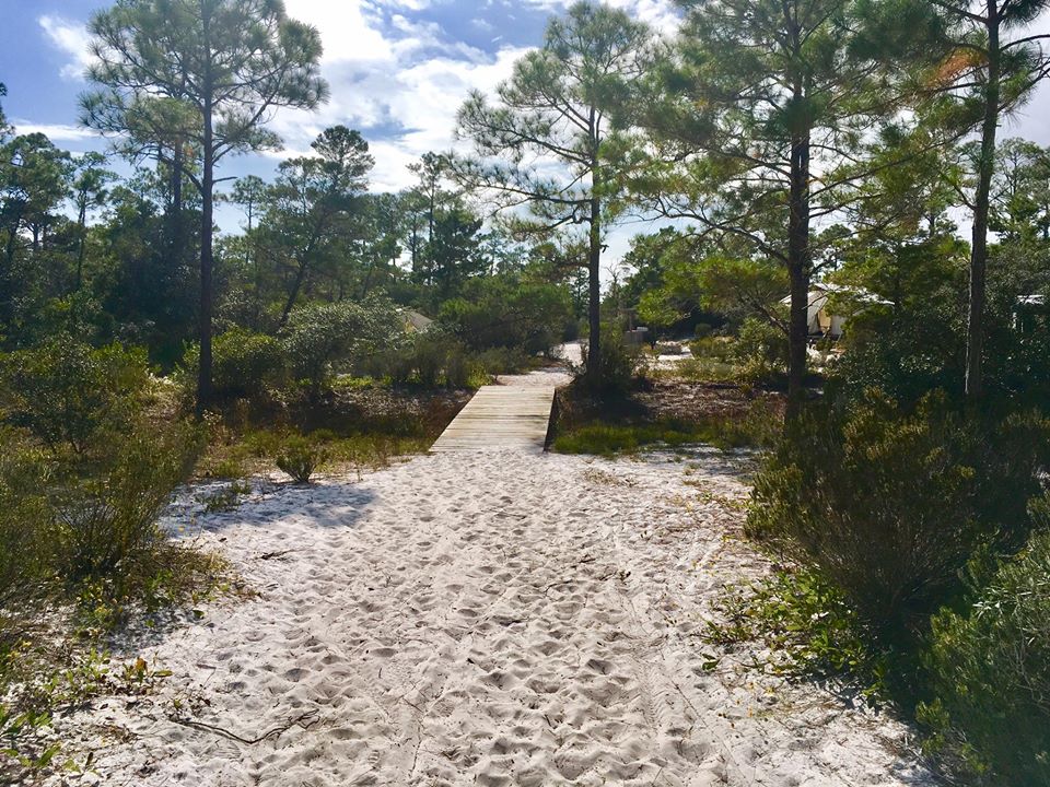 Outpost Campsites | Alapark