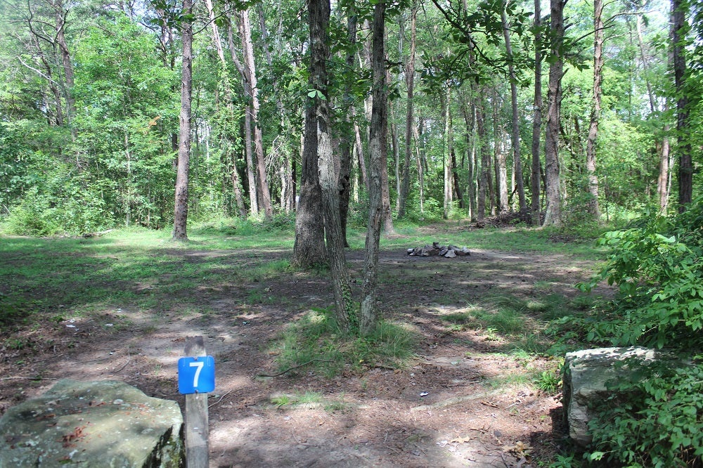 Primitive Campsites | Alapark