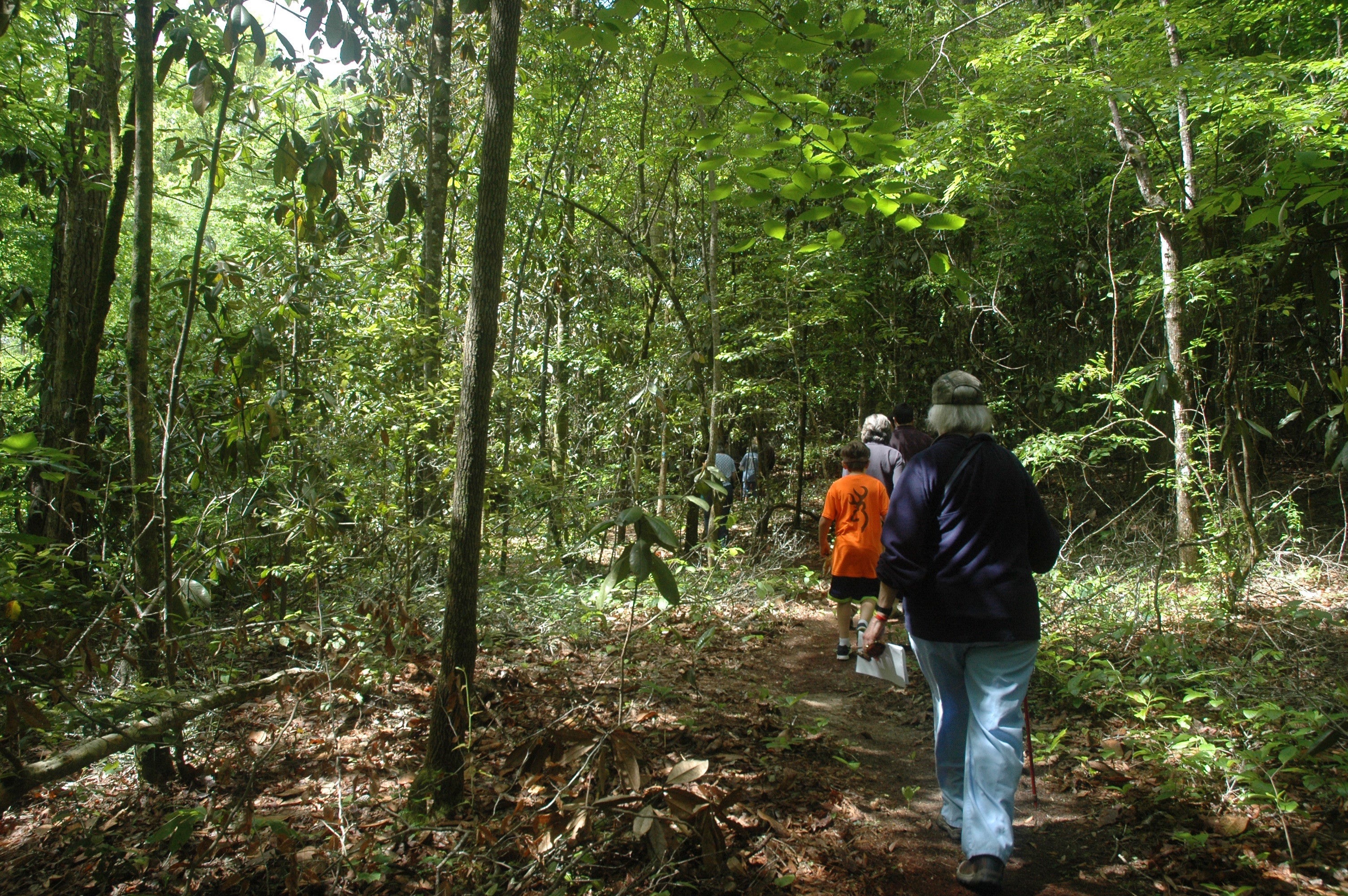 Magnolia Trail | Alapark