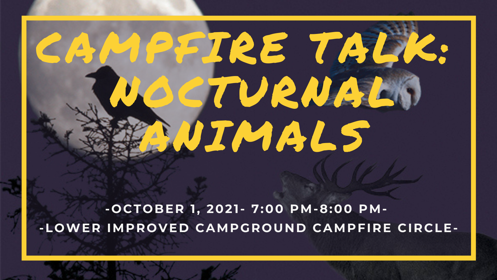 Campfire Talk: Nocturnal Animals | Alapark