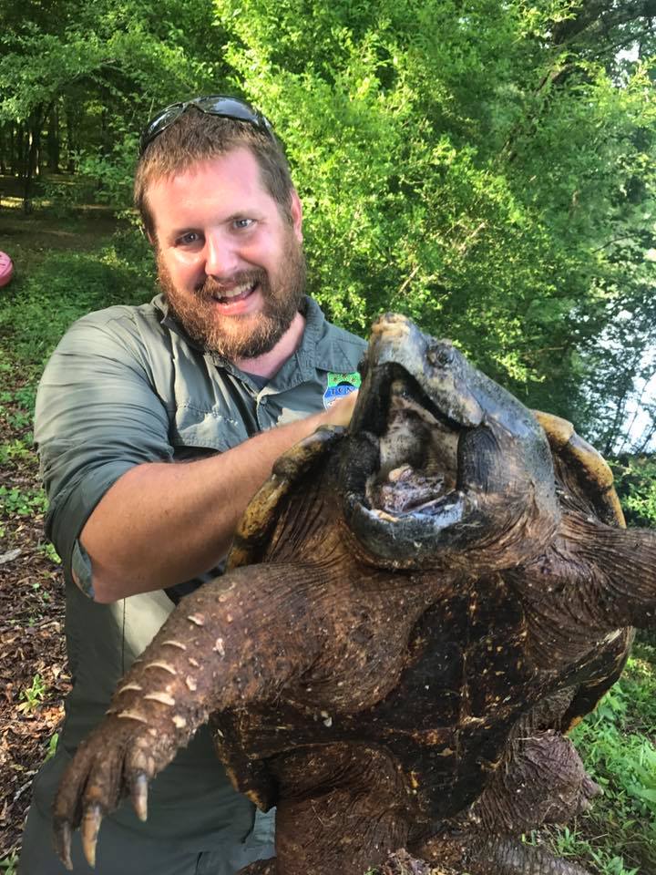 Reptiles and Amphibians of Alabama | Alapark