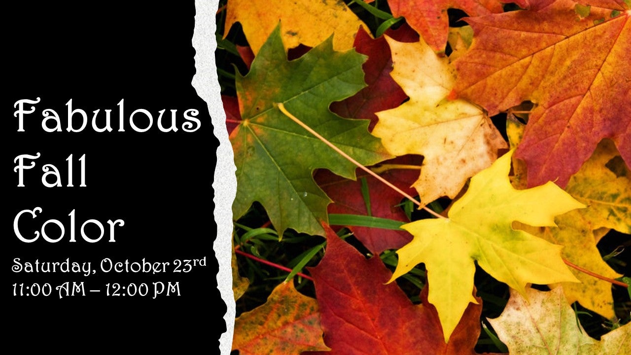 Fabulous Fall Colors | Alapark