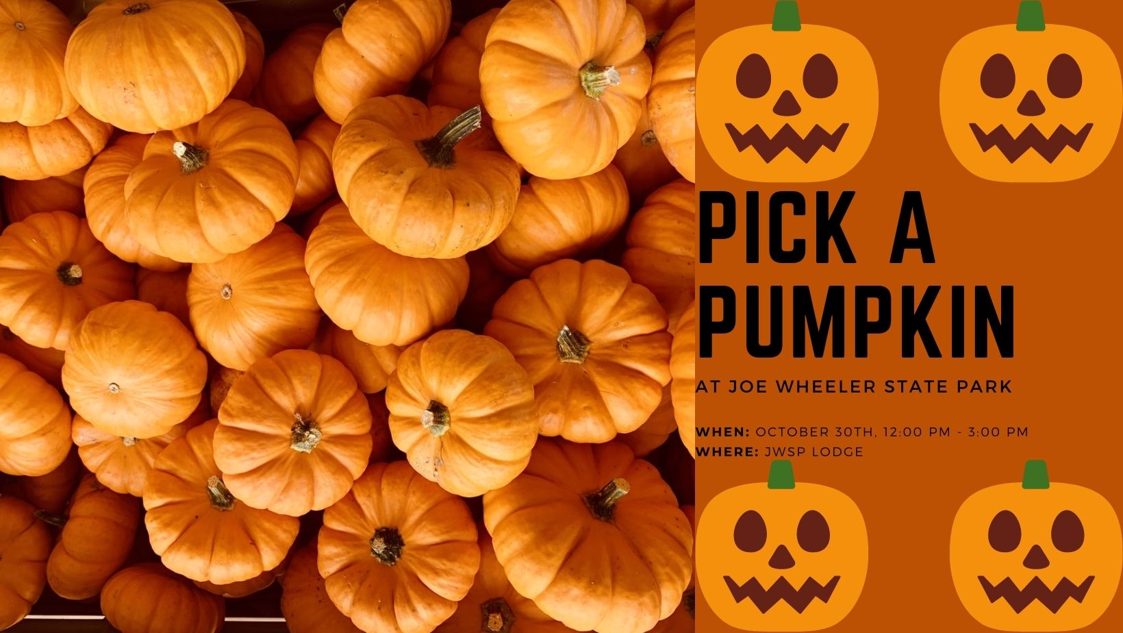 Pick a Pumpkin | Alapark