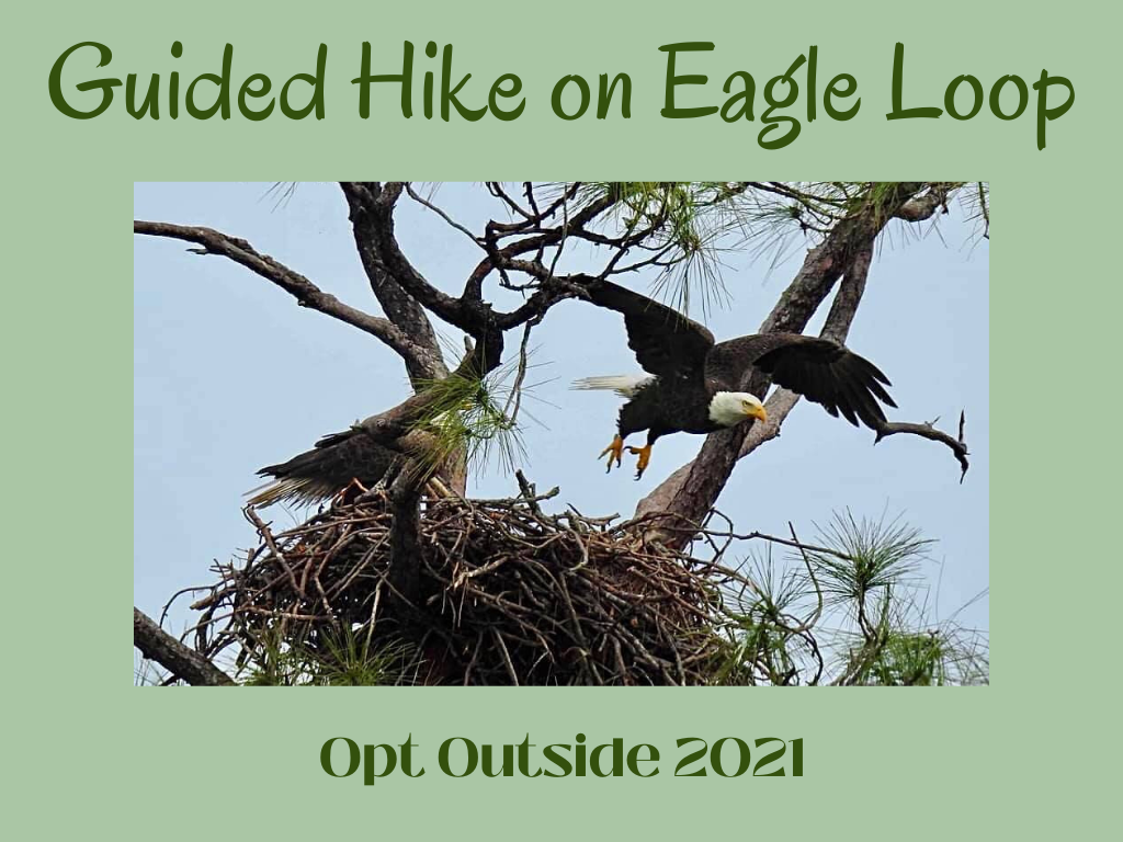 Guided Hike on Eagle Loop - Opt Outside 2021 | Alapark