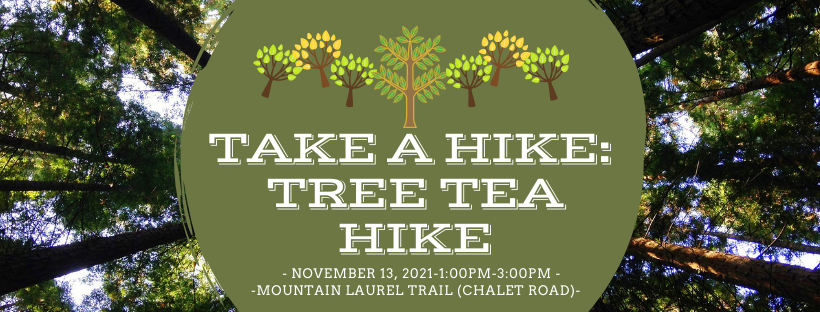 Take a Hike: Tree Tea Hike | Alapark