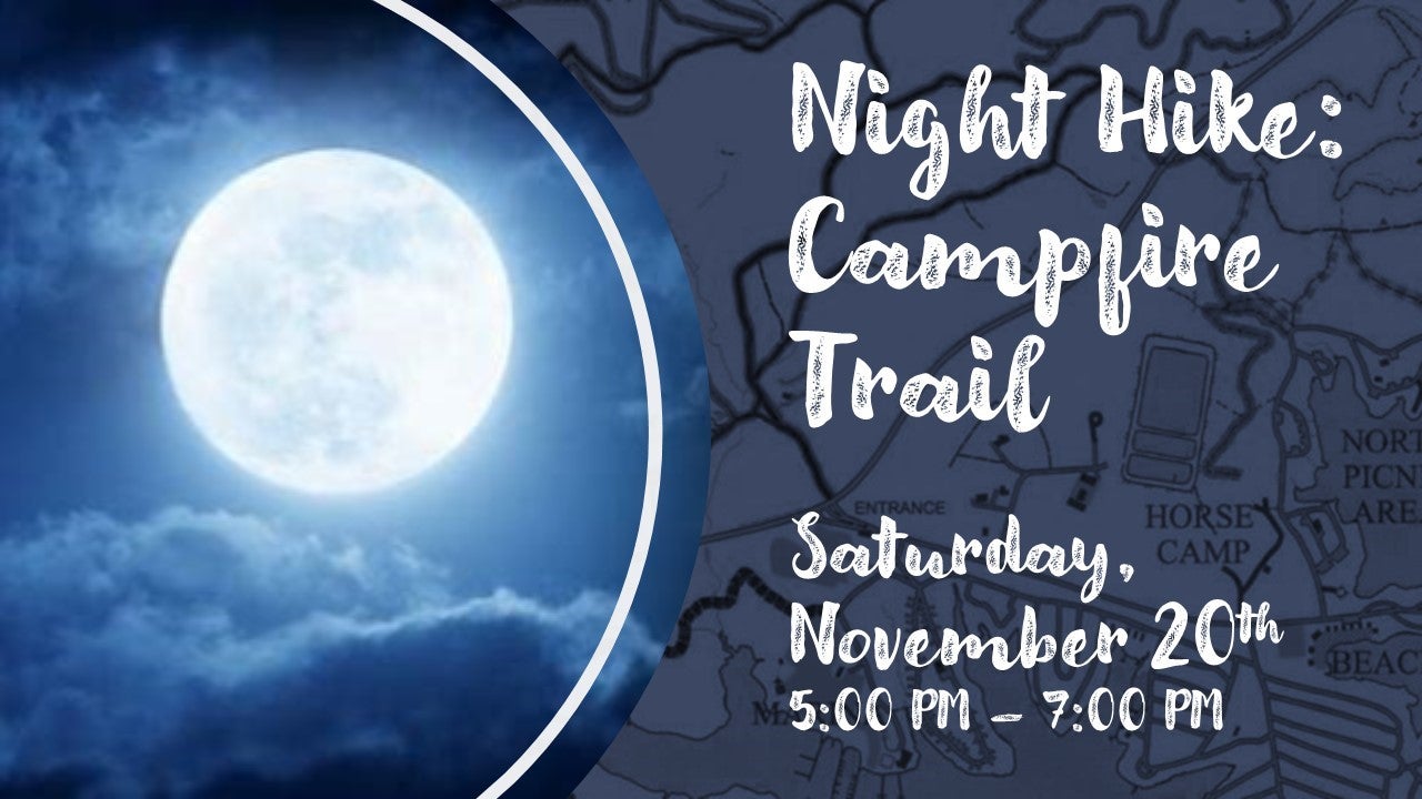 Night Hike: Campfire Trail | Alapark