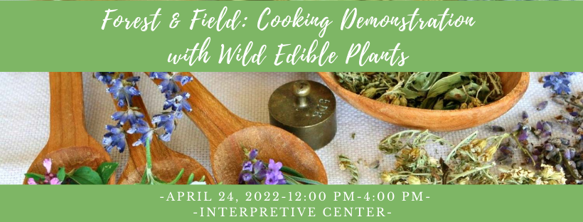 Forest & Field: Cooking Demonstration with Wild Edible Plants | Alapark