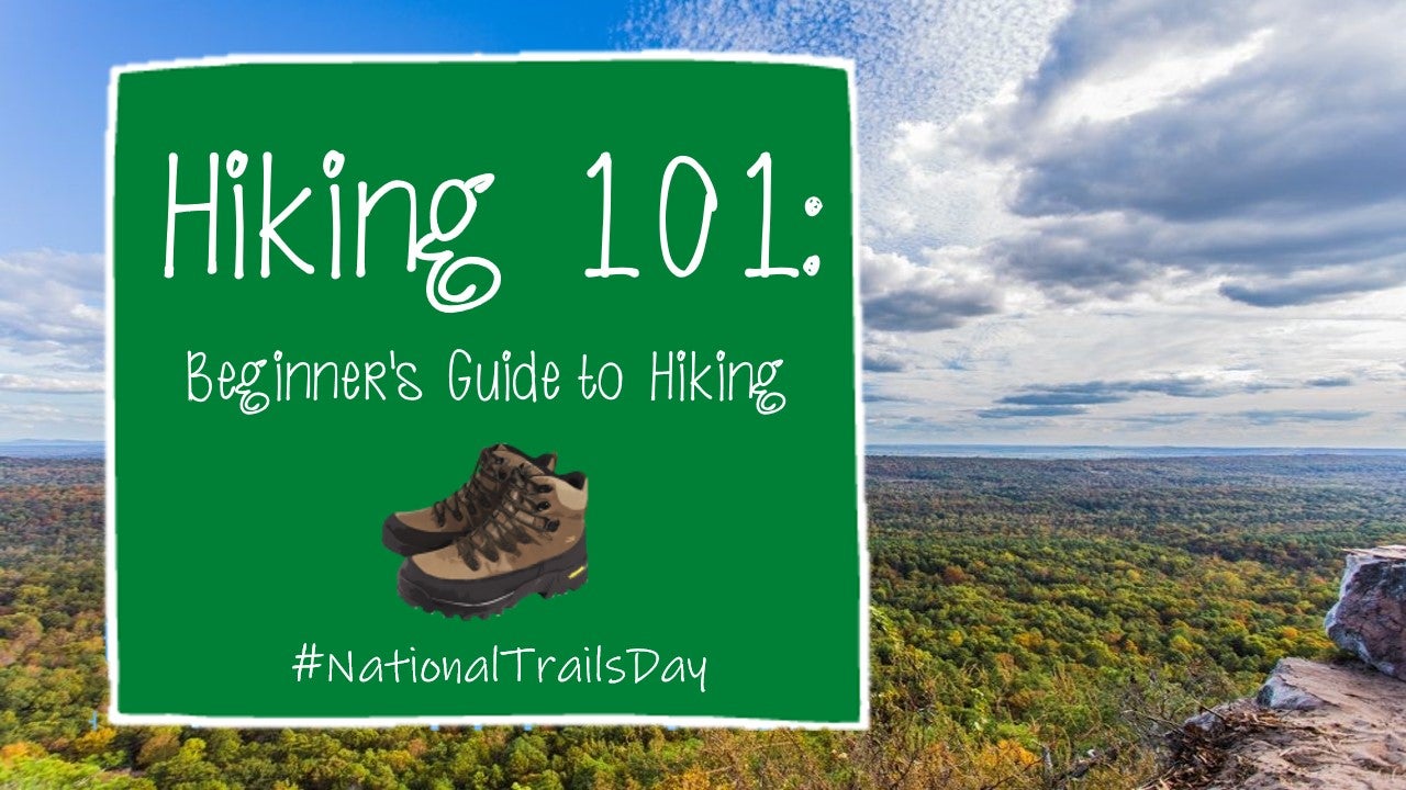 Hiking 101: A Beginner's Guide to Hiking | Alapark