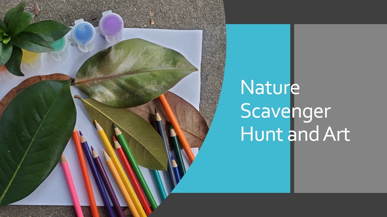 Nature Scavenger Hunt & Art | Alapark