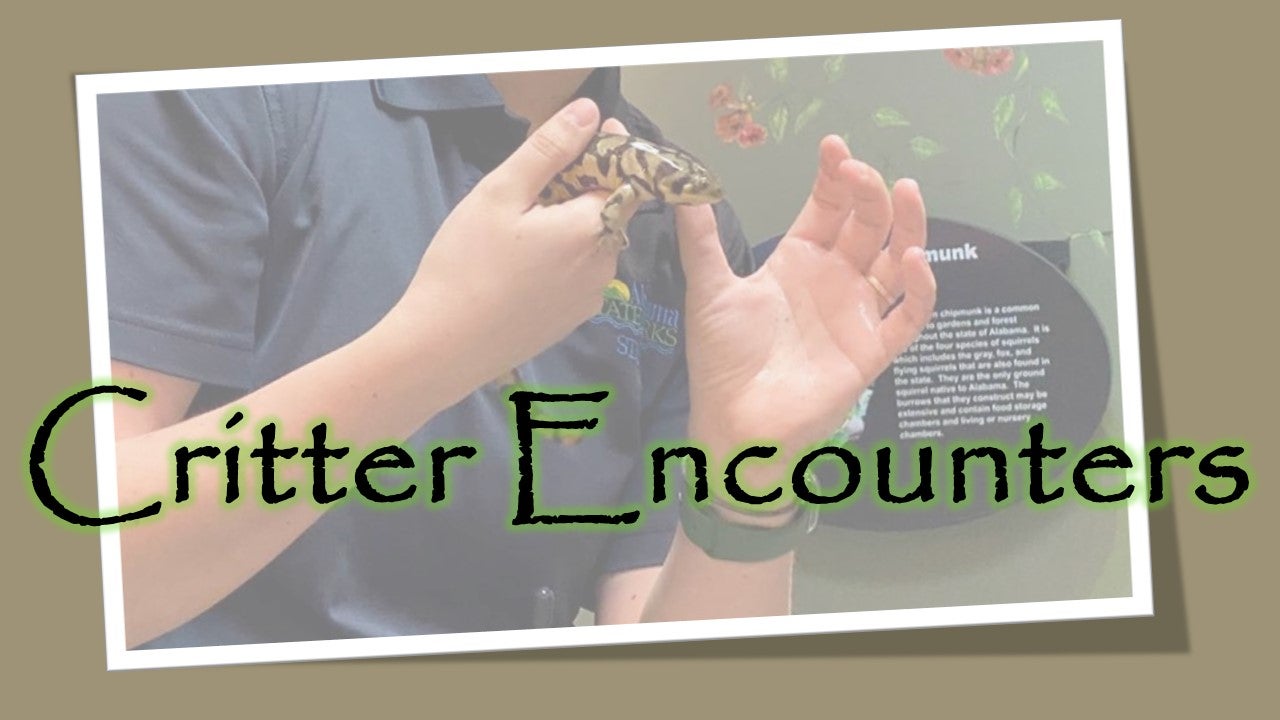 Critter Encounters | Alapark