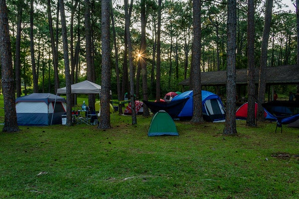 Scout Troops | Alapark