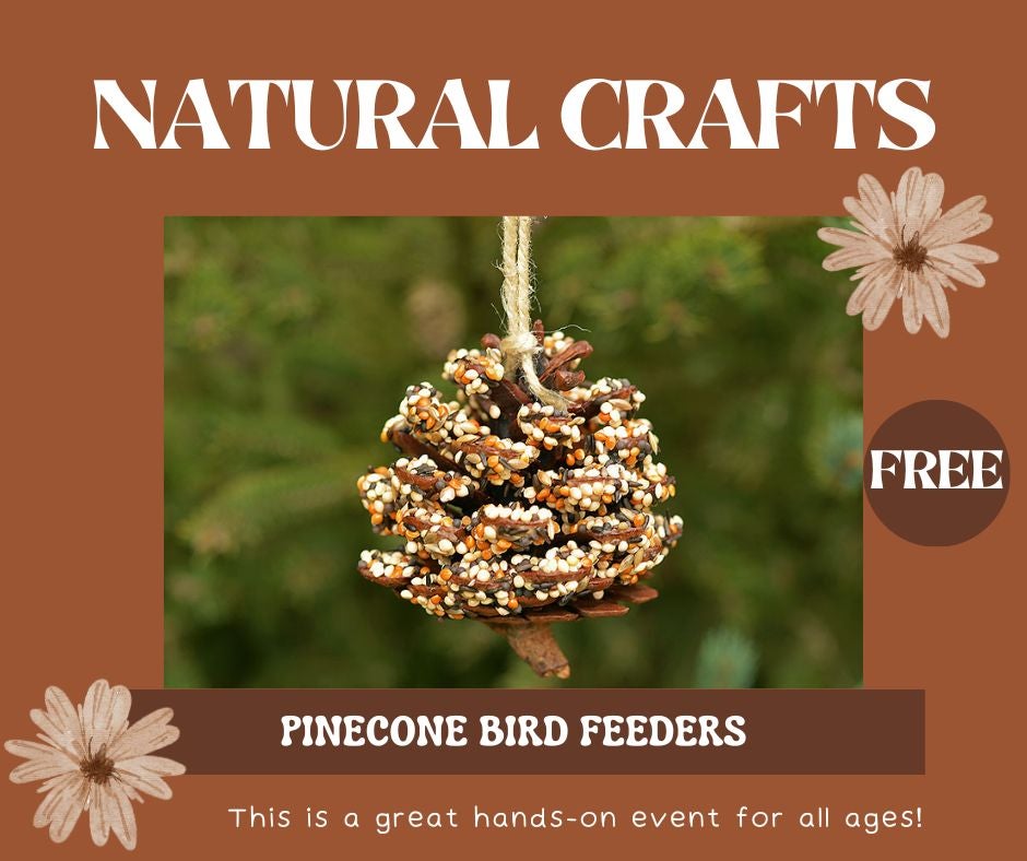 Natural Crafts- Pinecone Bird Feeders | Alapark