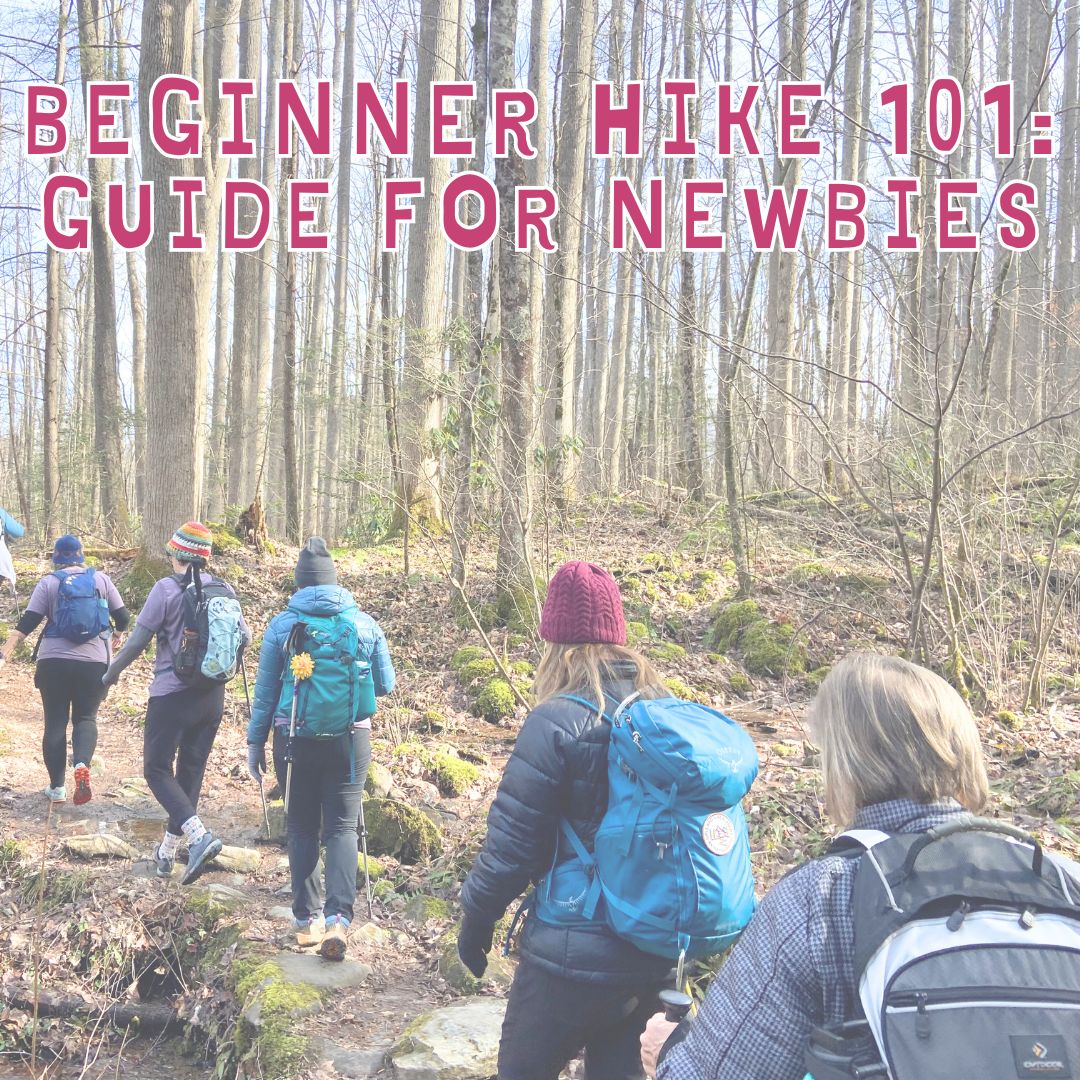 Park Events | Alapark