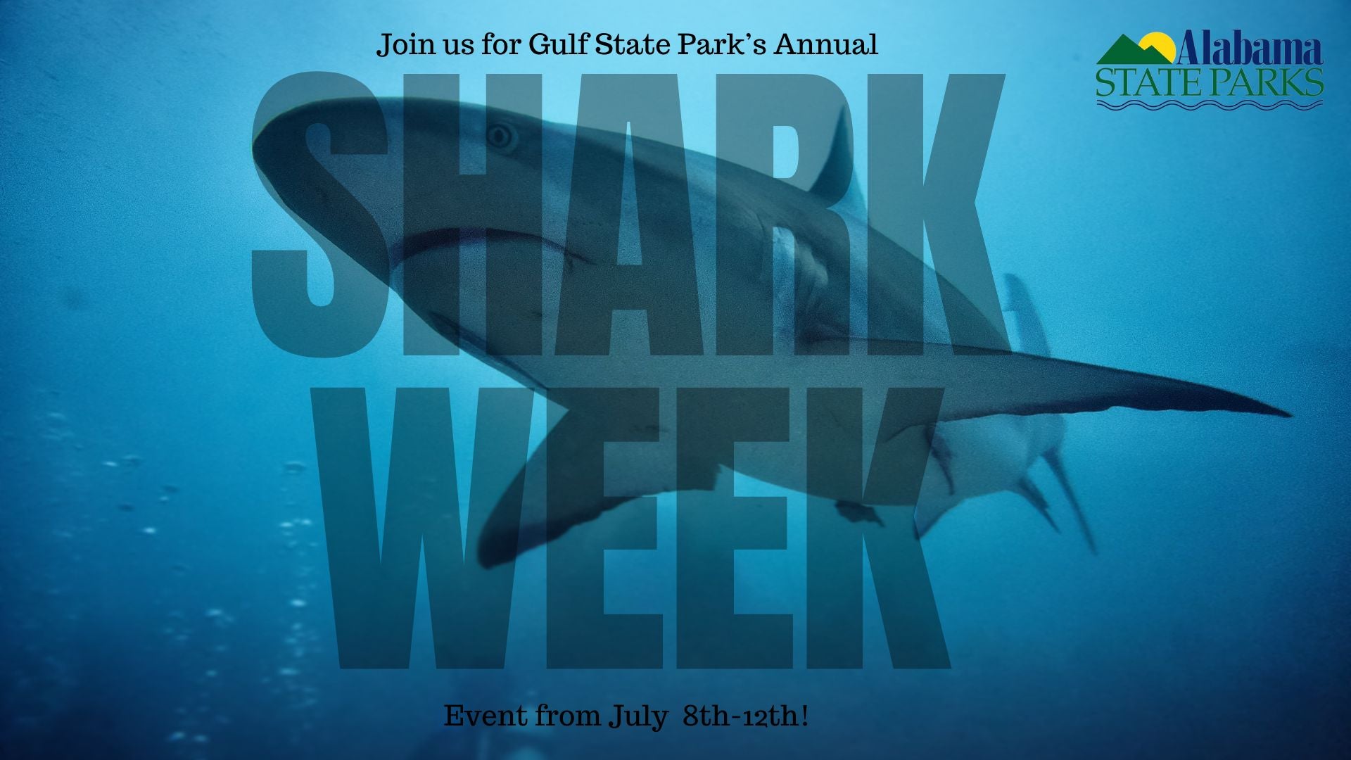 Shark Week! | Alapark