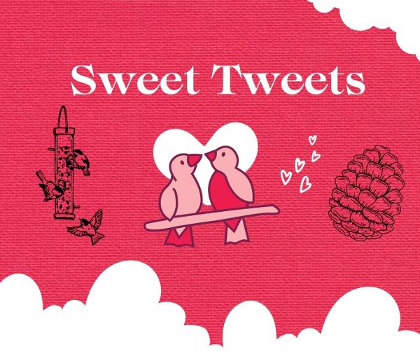 Sweet Tweets | Alapark