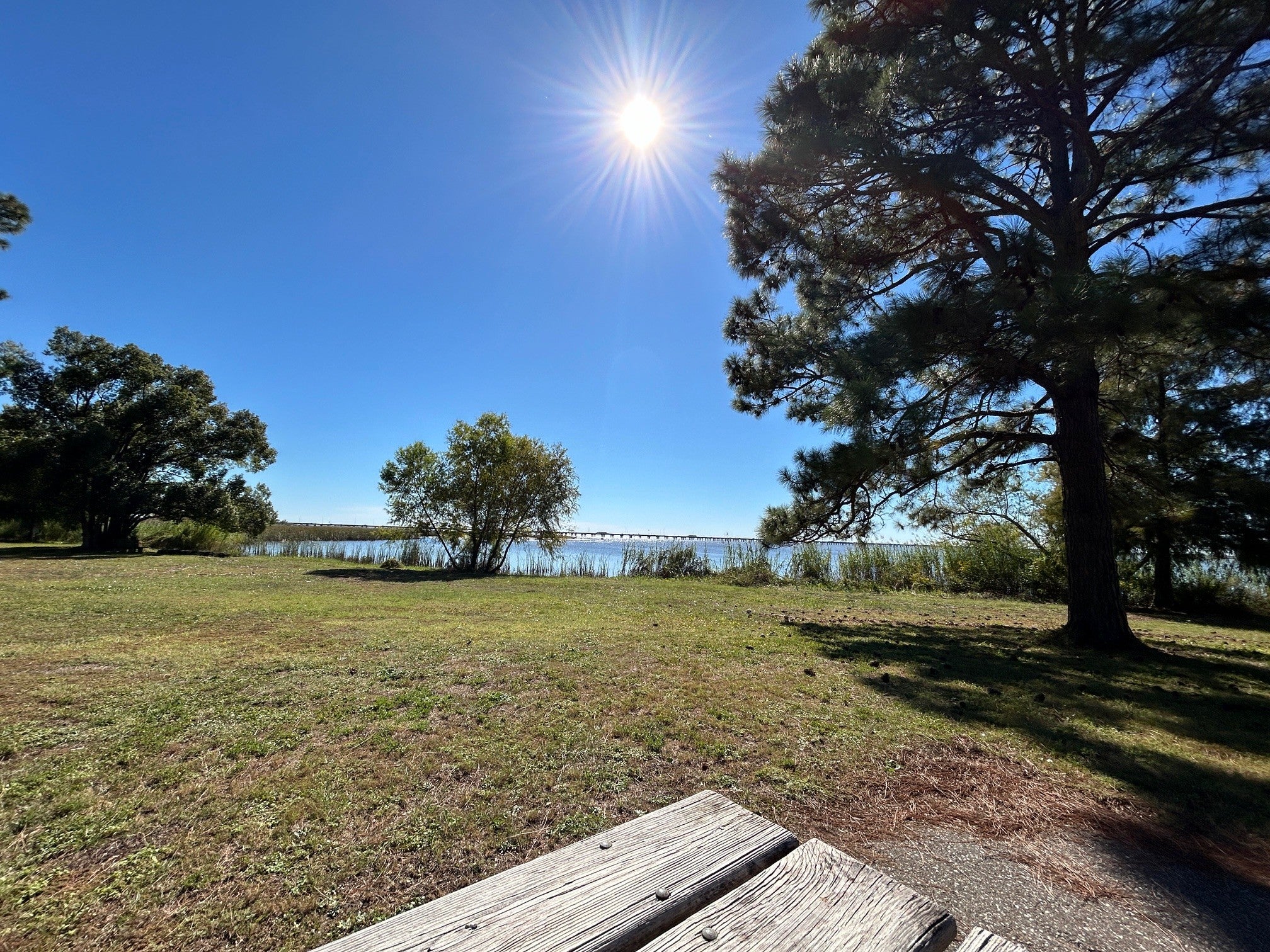 RV Camping | Alapark