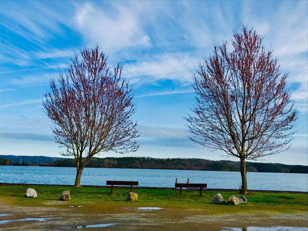 Day Use Areas | Alapark