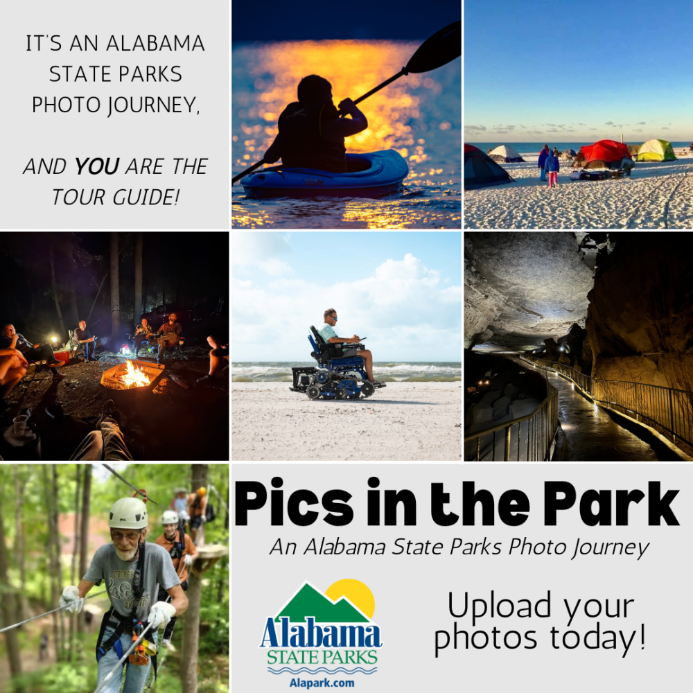 Submit Your Alabama State Parks Pics | Alapark