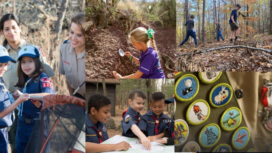 Scouts | Alapark