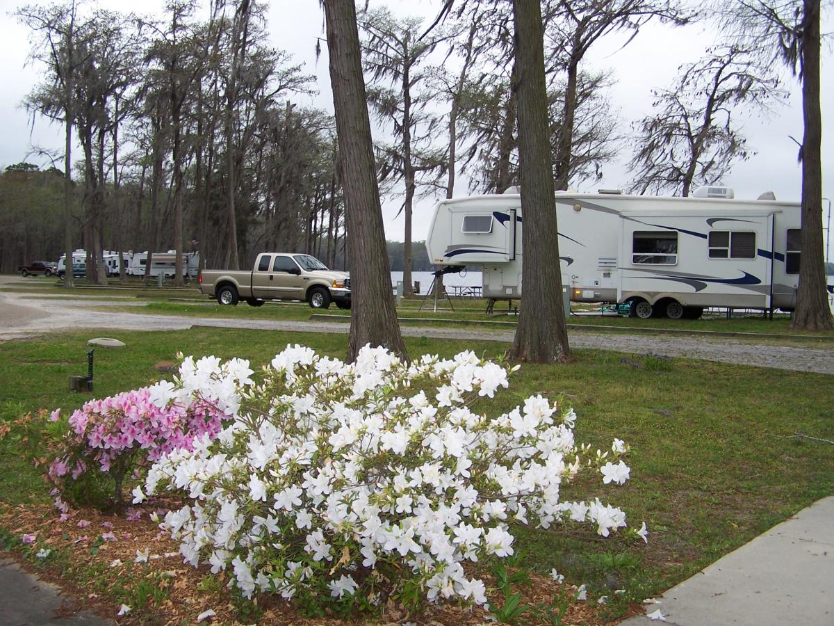 Lake Jackson RV Park at Florala | Alapark