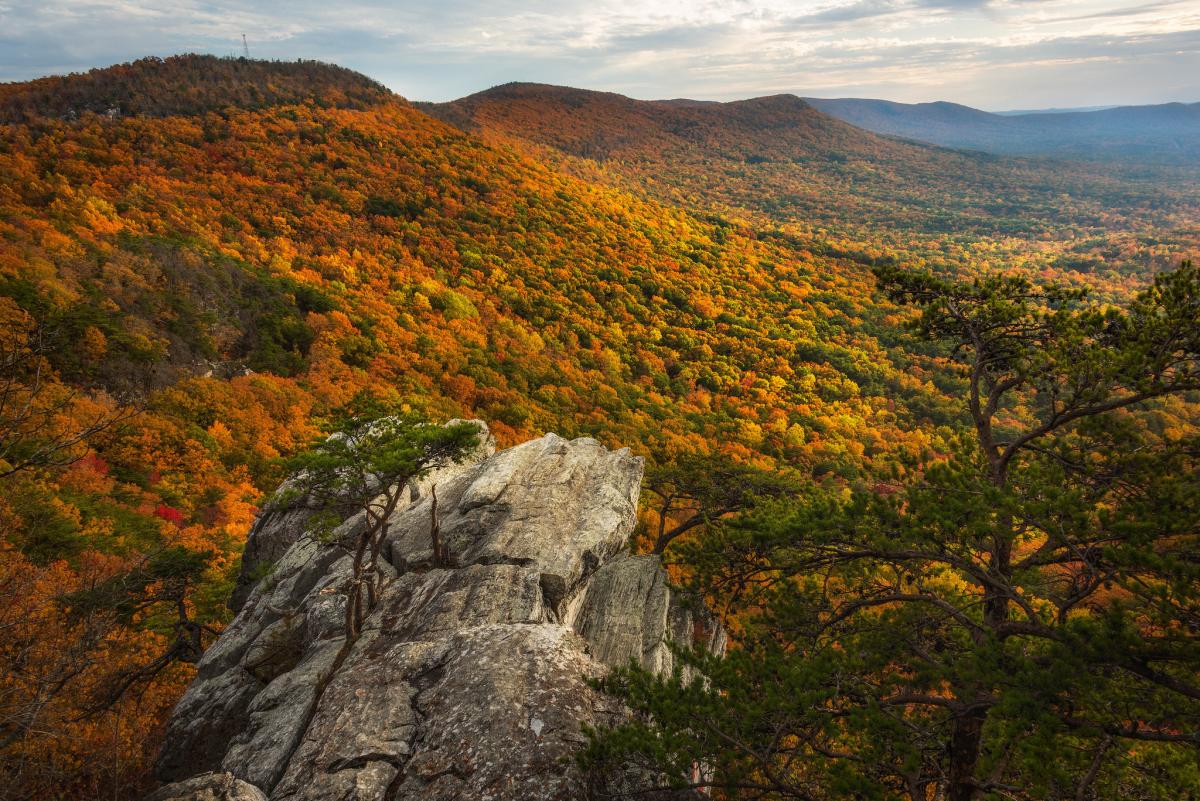 Cheaha State Park | Alapark