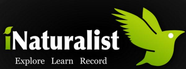 iNaturalist | Alapark