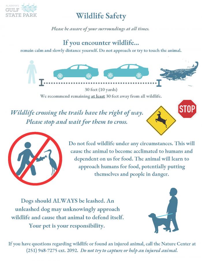 Safety and Etiquette | Alapark