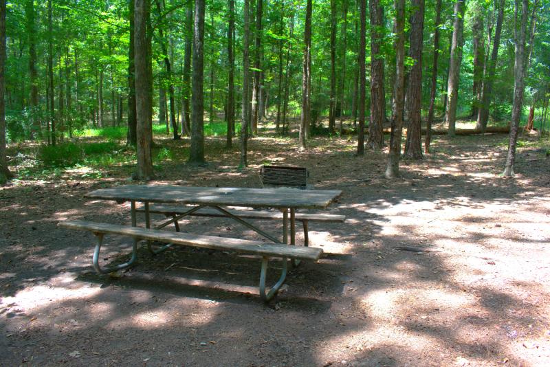 Primitive Camping | Alapark