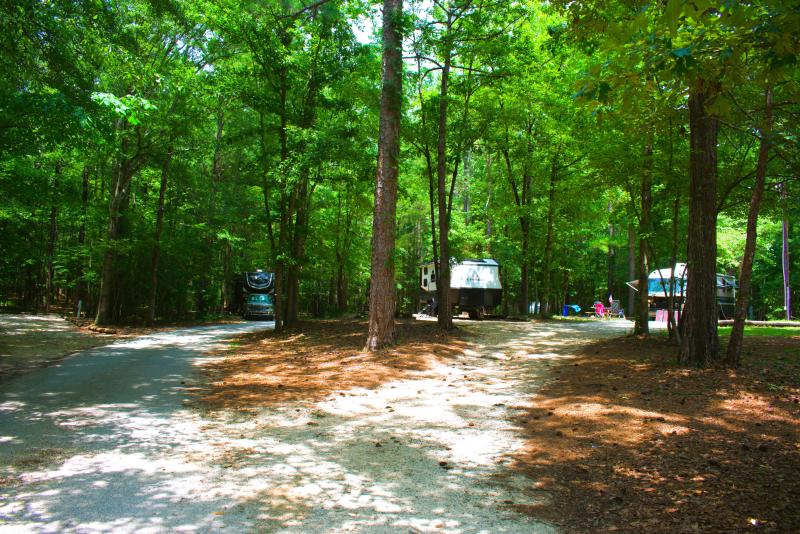 RV Camping | Alapark