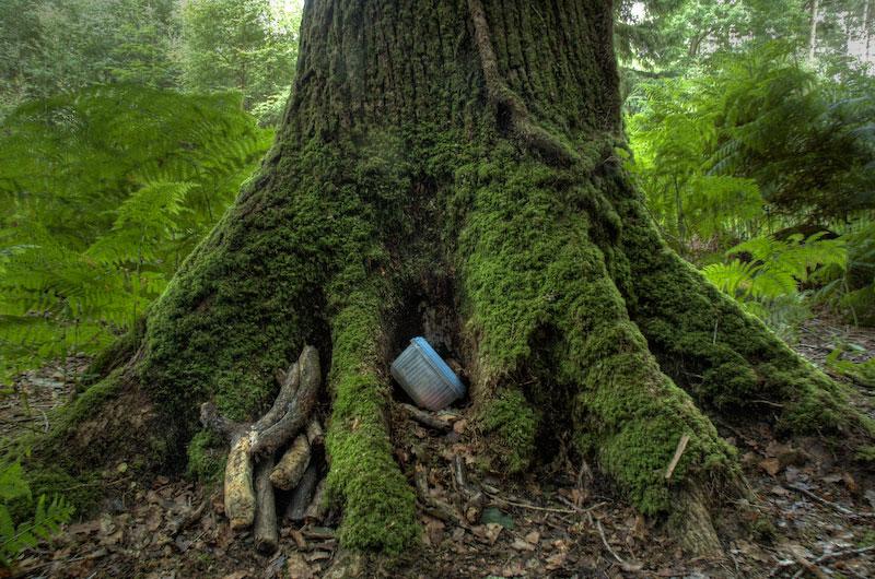 GeoCaching | Alapark