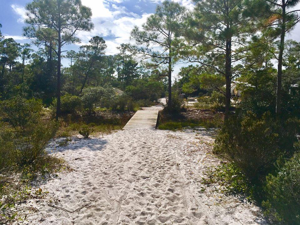 Outpost Campsites | Alapark