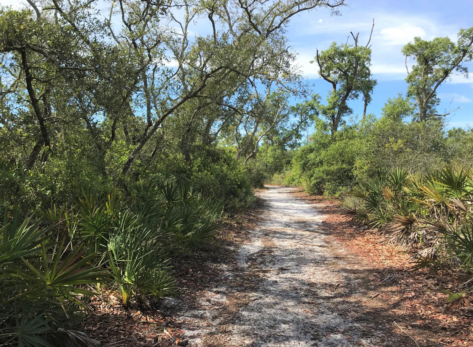 Hiking and Biking Trails | Alapark