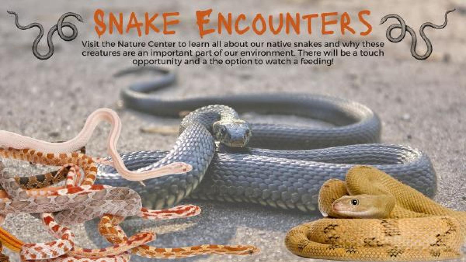 Park Events | Alapark