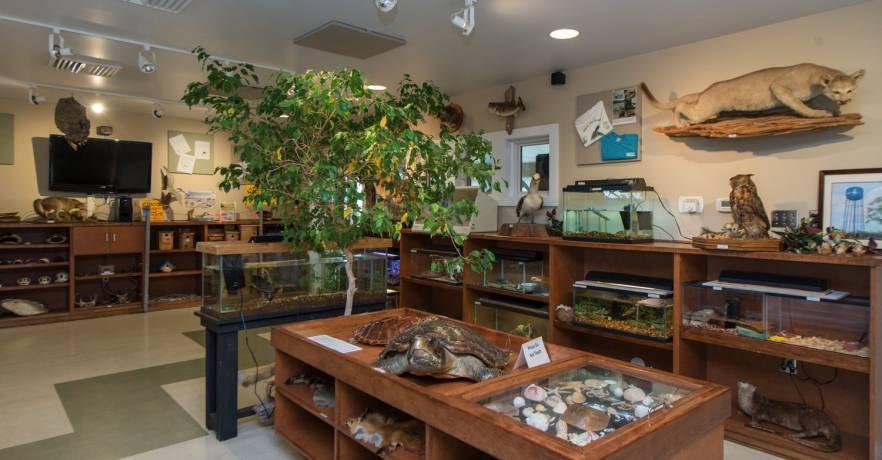 Nature Center | Alapark