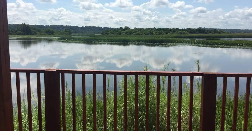 Cabins by the Bay | Alapark