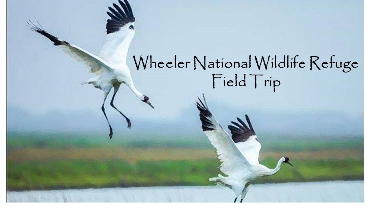 Wheeler National Wildlife Refuge Field Trip | Alapark